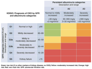 The 5 Stages of Chronic Kidney Disease: GFR & Persistent Albuminuria ...